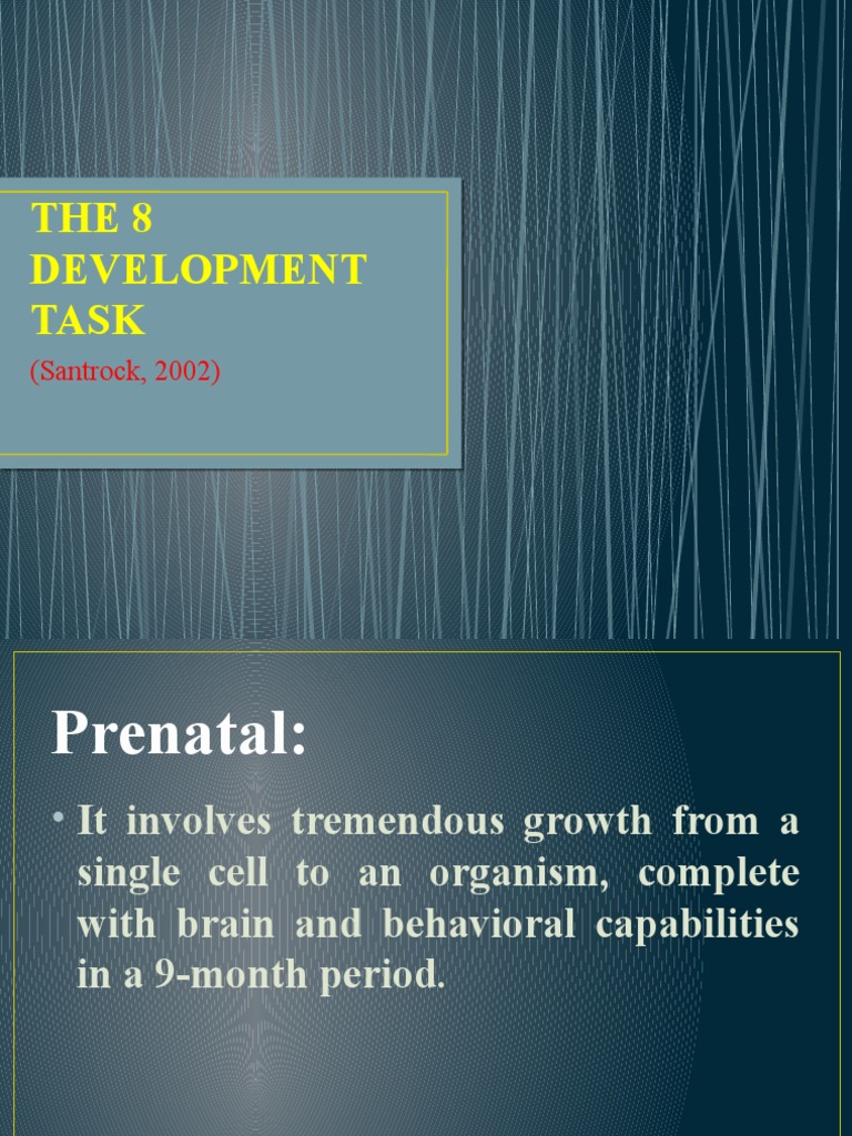 The 8 Development Task | PDF