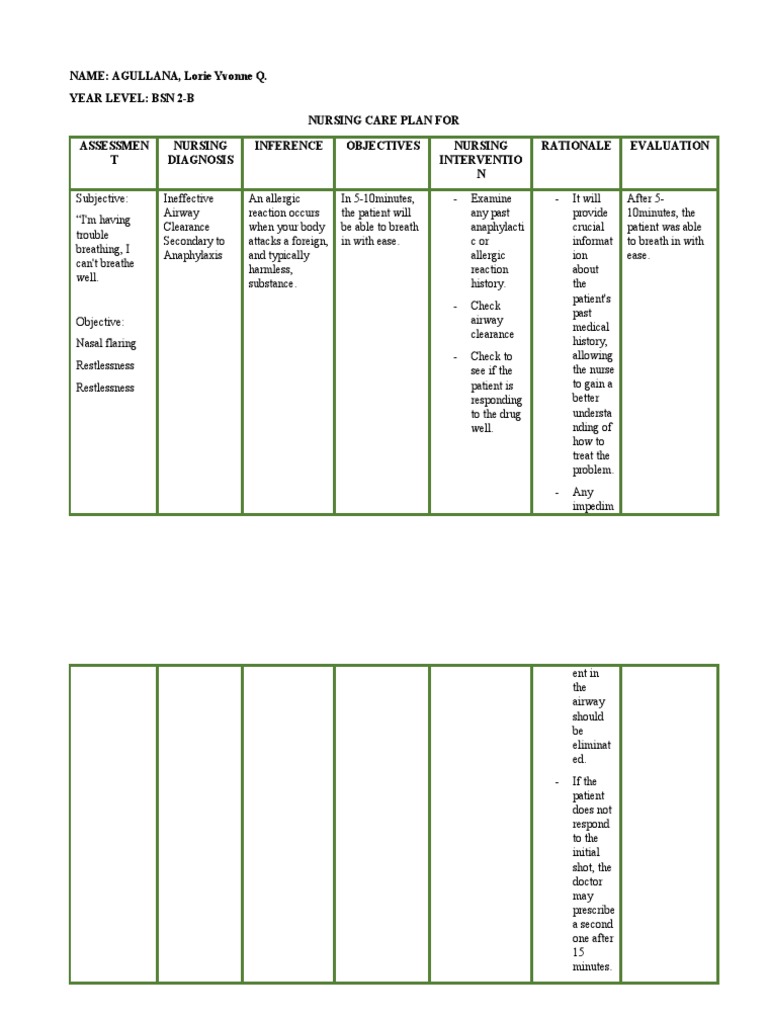 NCP Format | PDF | Allergy | Diseases And Disorders