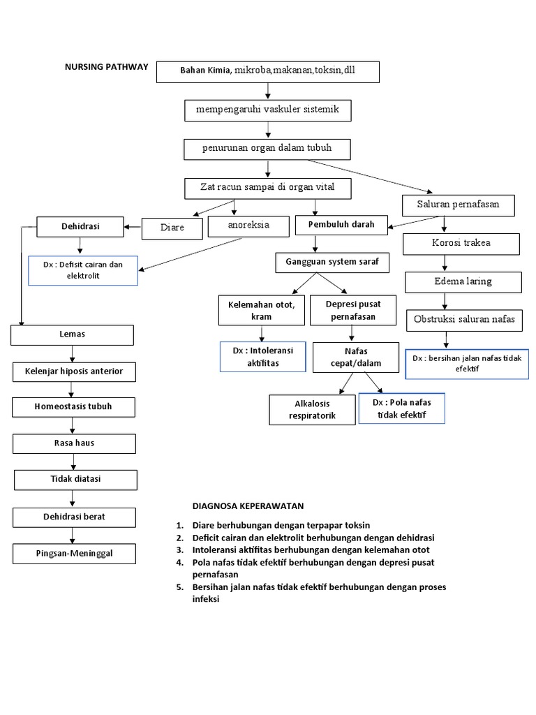 Nursing Pathway Keracunan | PDF