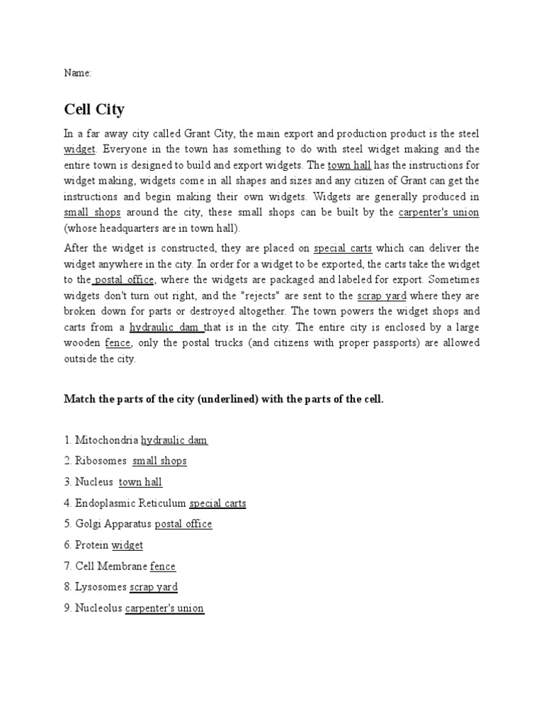 Cell City: Name: Betsabe Hazoury | PDF