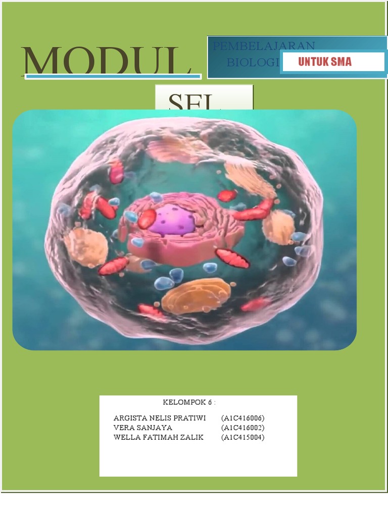 Modul Pembelajaran Biologi Sel | PDF | Sains & Matematika