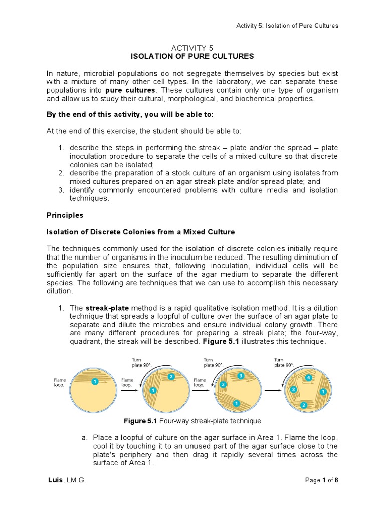 Isolating Pure Microbial Cultures Through Dilution and Separation ...