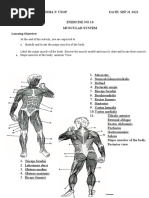 Organ Systems Overview | PDF | Human Body | Organ (Anatomy)