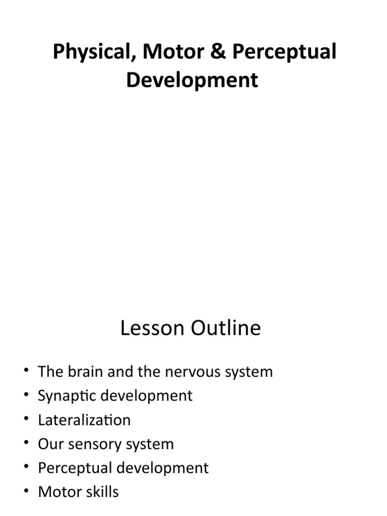 Lesson 4 Physical Motor Perceptual Development | PDF | Brain | Perception