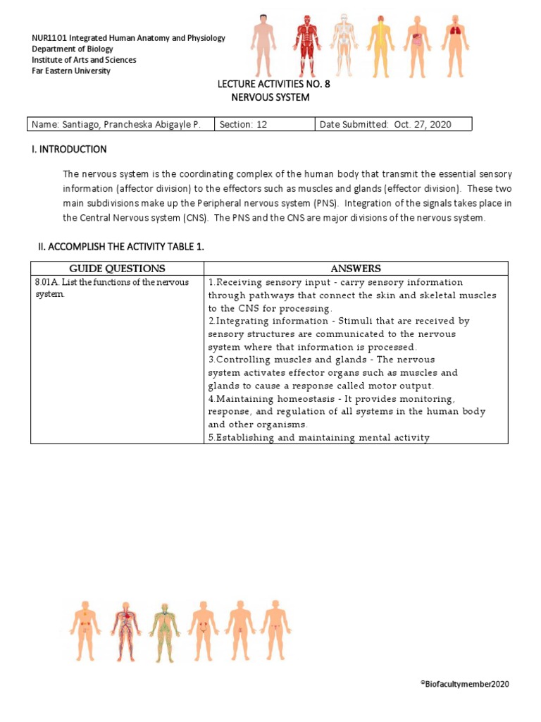 Guide Questions Answers | PDF | Nervous System | Neuron