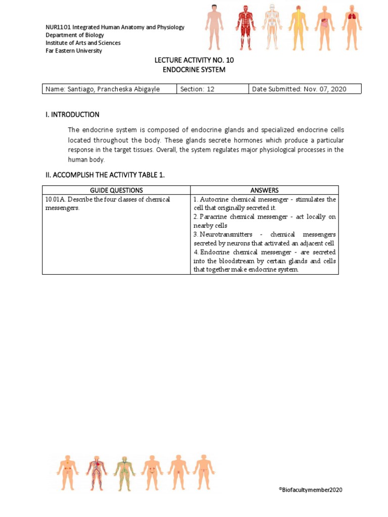 Lec - Activity10 - Endocrine System | Download Free PDF | Endocrine ...
