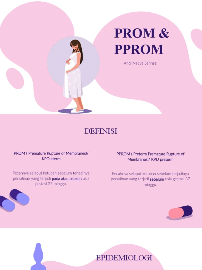 PRM Pprom | PDF