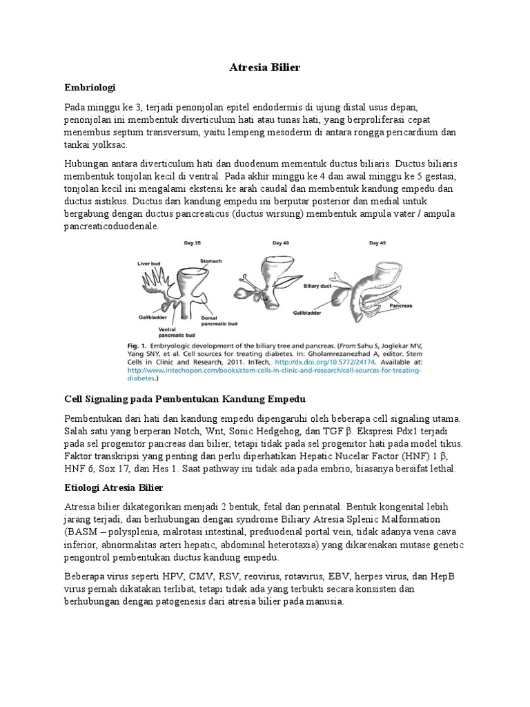 Atresia Bilier | PDF