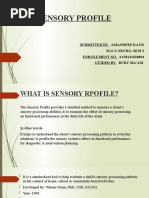 Sensory Profile 2 Scoring Excel | PDF | Perception | Taste