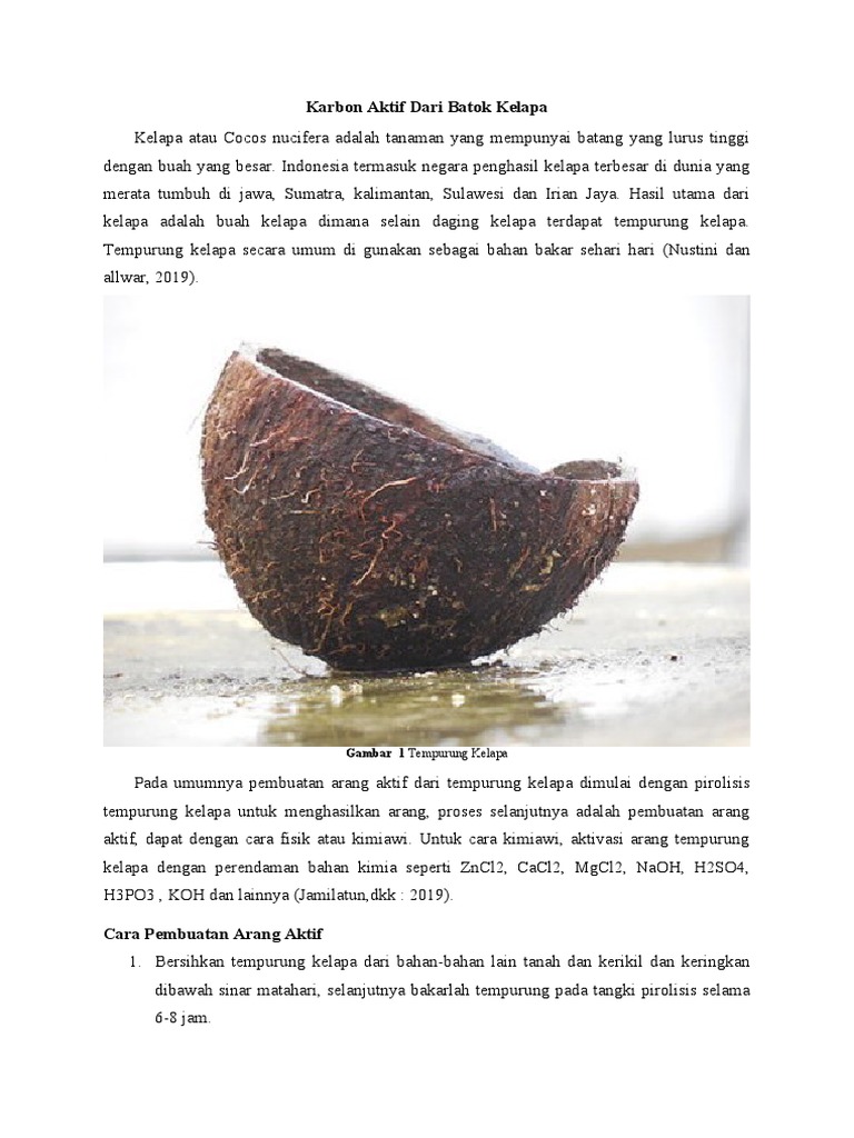 Potensi Karbon Aktif dari Tempurung Kelapa sebagai Adsorben | PDF
