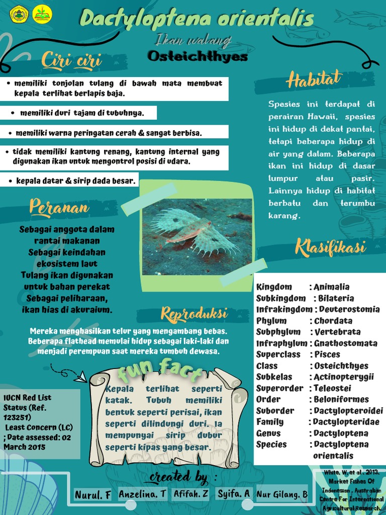 OSTEICHTHYES | PDF