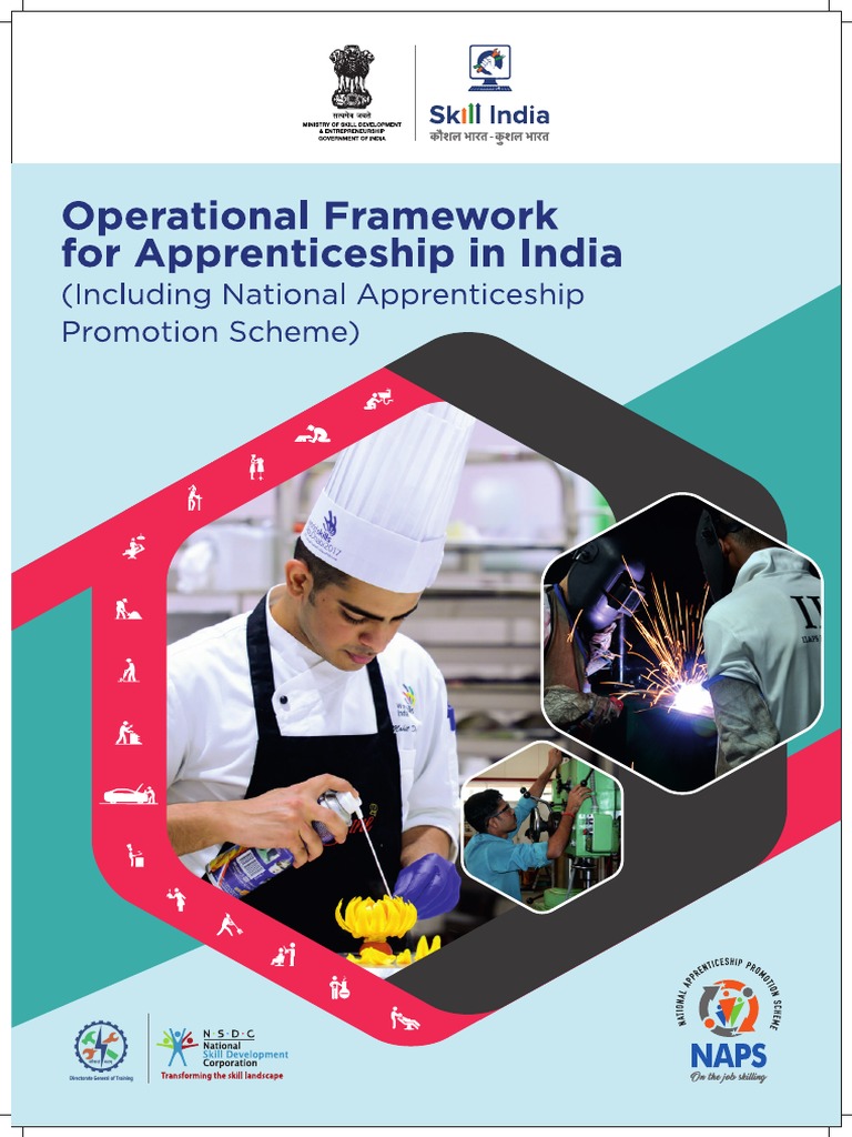 NAPS Framework | PDF | Apprenticeship | Vocational Education