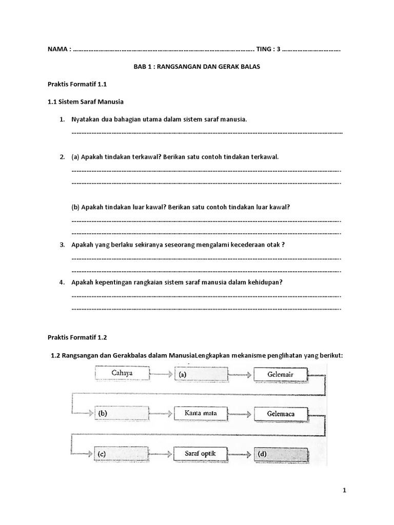 Latihan Topikal Sains Tingkatan 3 Bab 1 Rangsangan Dan Gerak Balas | PDF