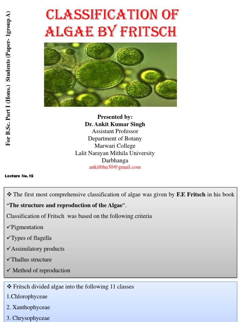 385163146classificationof Algae by Fritsch | PDF | Algae | Organisms