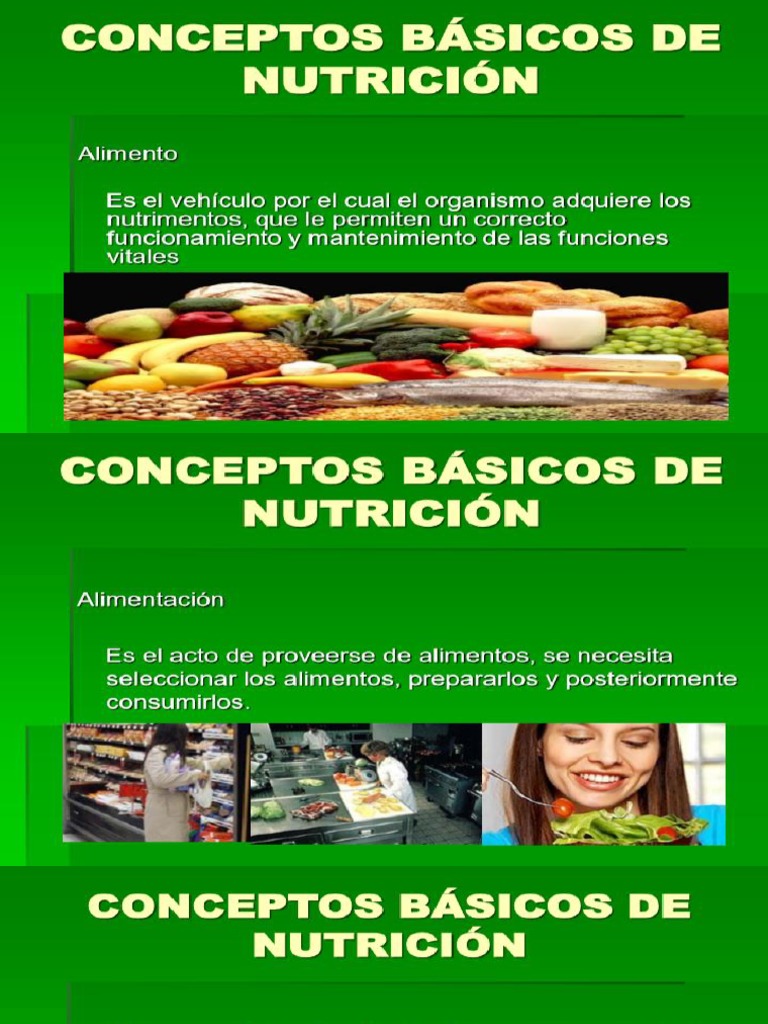 Conceptos Basicos de Nutricion | PDF | Vegetales | Vitamina