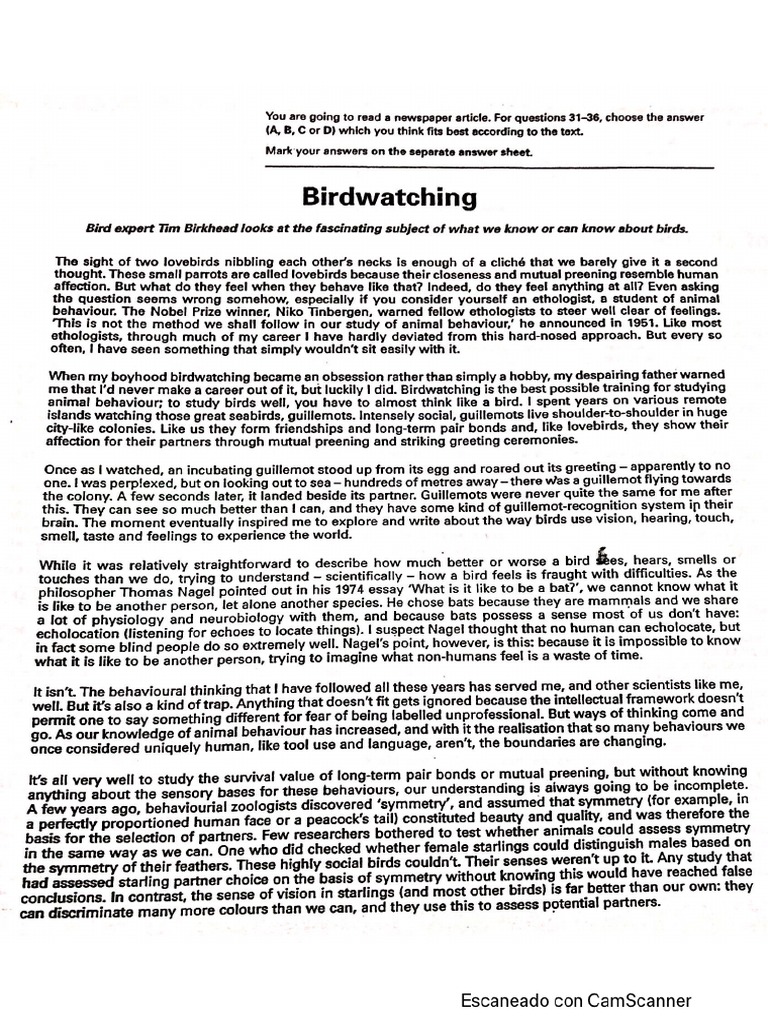 Birdwatching | PDF