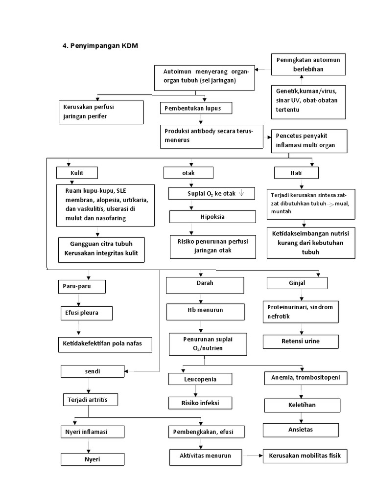 Penyimpangan KDM Sle | PDF