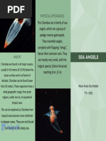 Free Tervi Invitation Card Maker | PDF