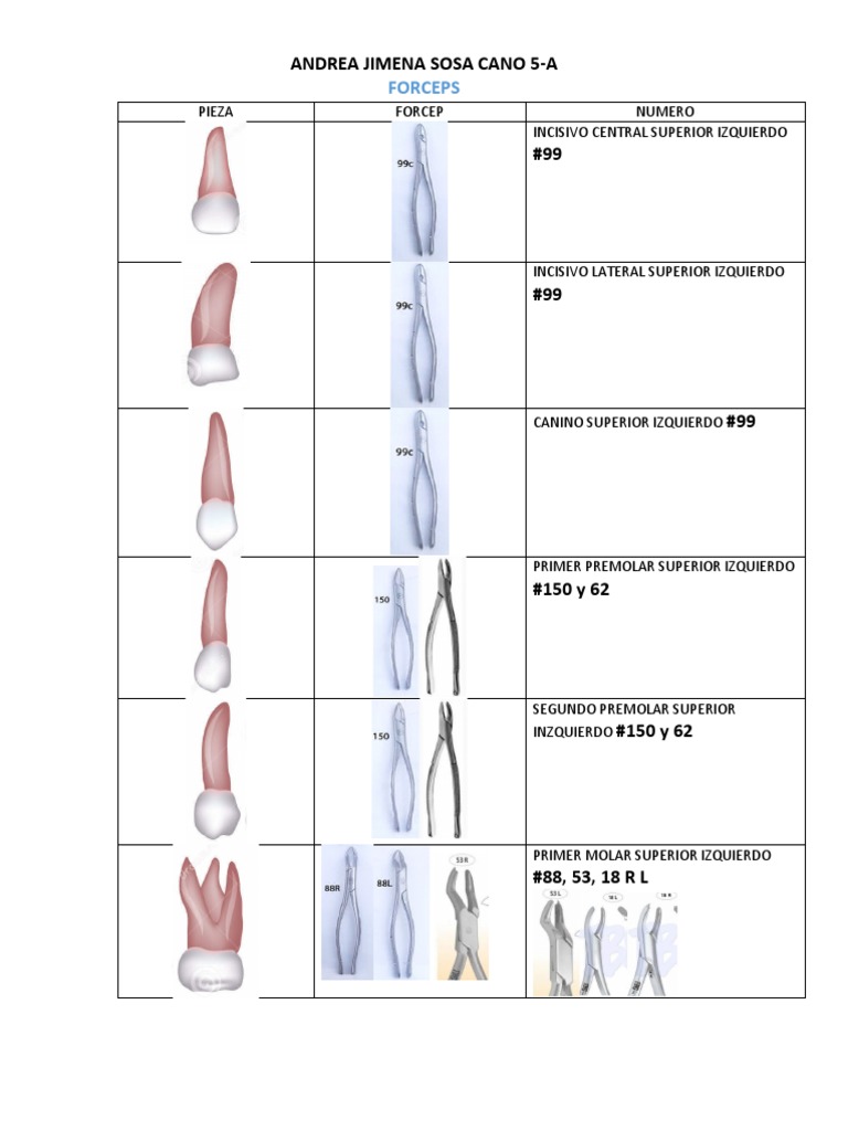 Exodoncia Forceps | PDF | Ramas de Odontología | Anatomia dental