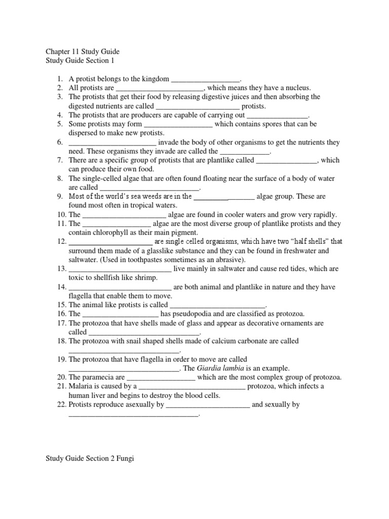 Chapter 11 Study Guide Study Guide Section 1 A Protist Belongs To | PDF ...