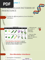 Science Notebook Answer Key Mendelian Genetics | PDF | Genotype ...