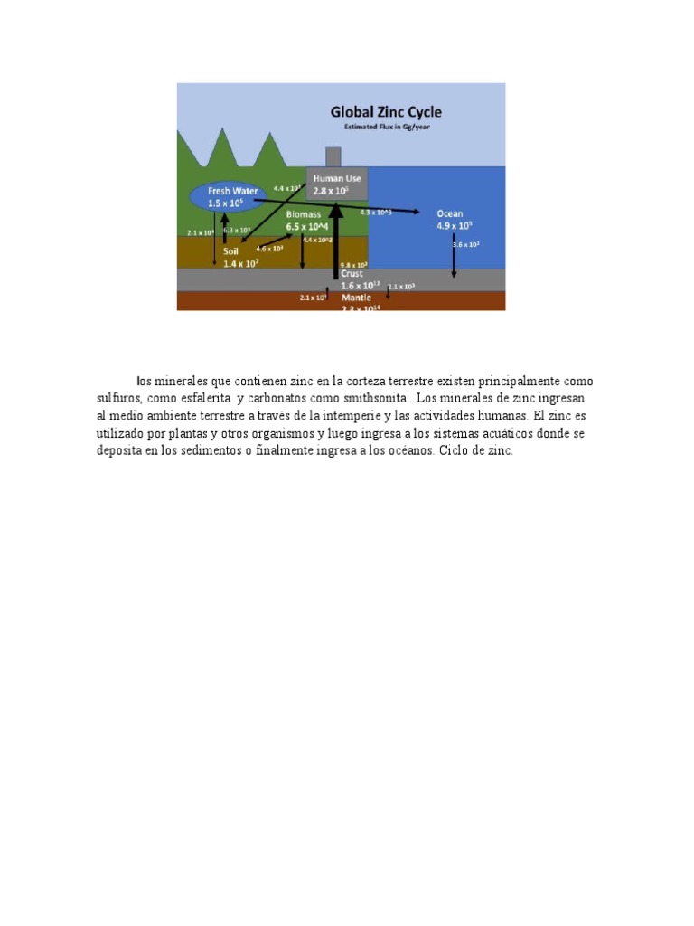 Ciclo Zinc | PDF