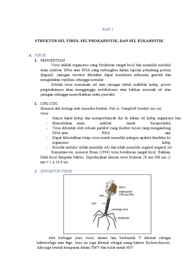 BIologi Sel | PDF