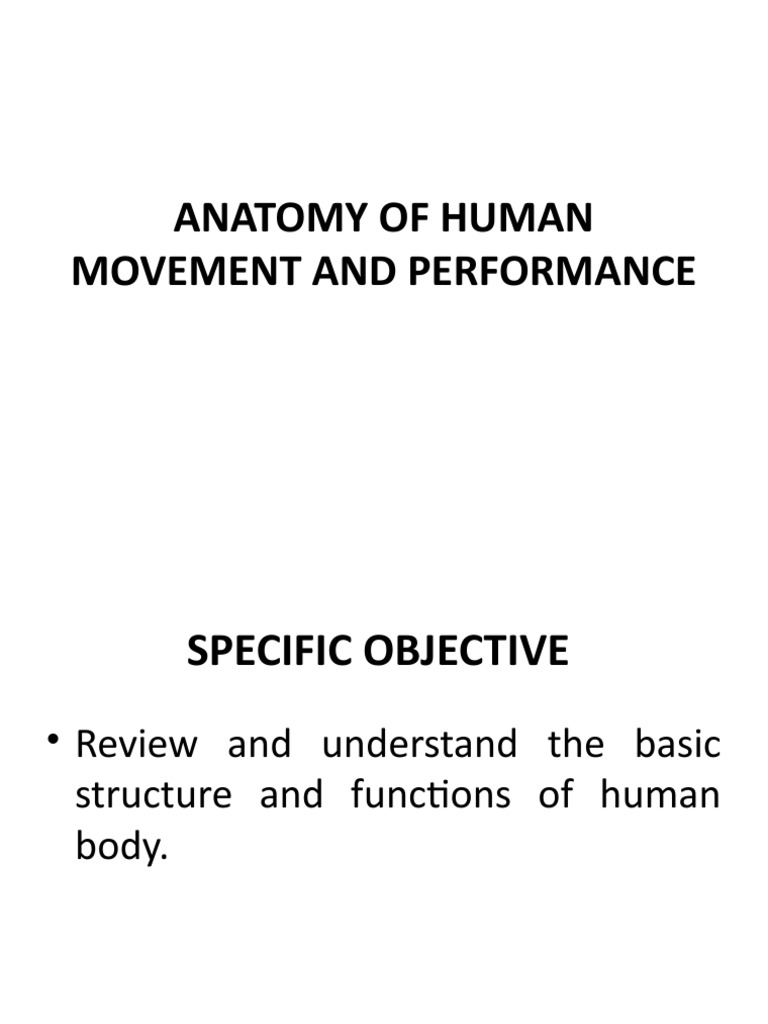 Anatomy of Human Movement and Performance Lesson 1 | PDF | Anatomical ...