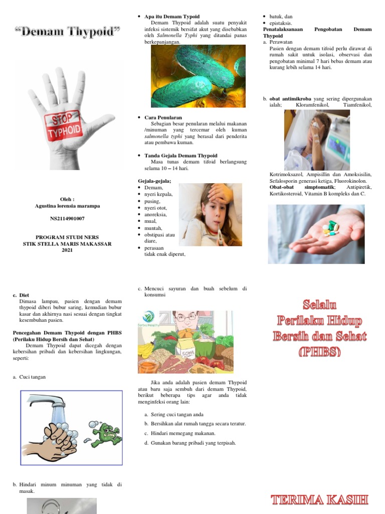 Leaflet Thypoid | PDF