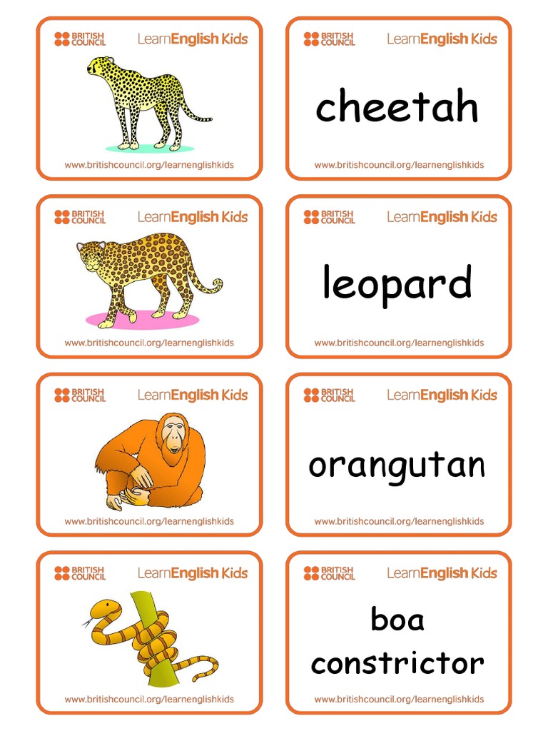Flashcards Wild Animals Set 2 | PDF