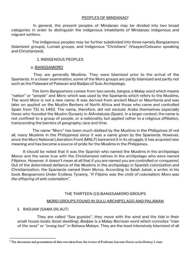 Moro Groups | Download Free PDF | Ethnicity | Southeast Asia