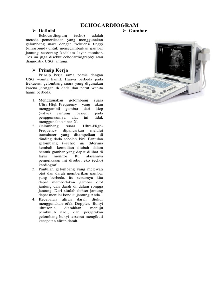 ECHOCARDIOGRAFI | PDF