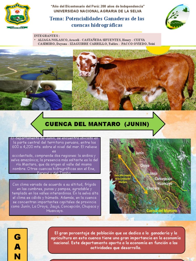 Dayana - Cuenca Del Mantaro | PDF | Perú | Agricultura