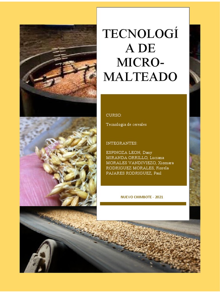 Proceso de Malteado de Cebada | PDF | Germinación | Enzima