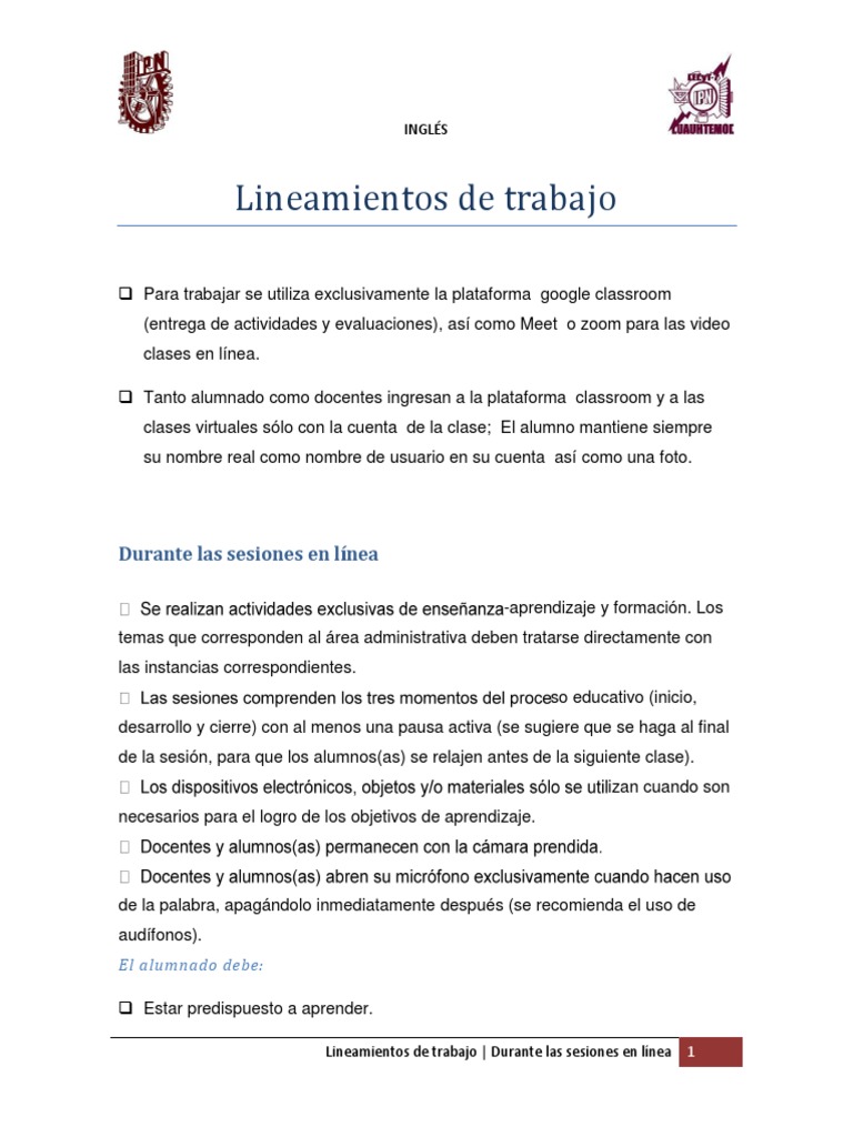 Lineamientos de Trabajo | PDF | Aprendizaje