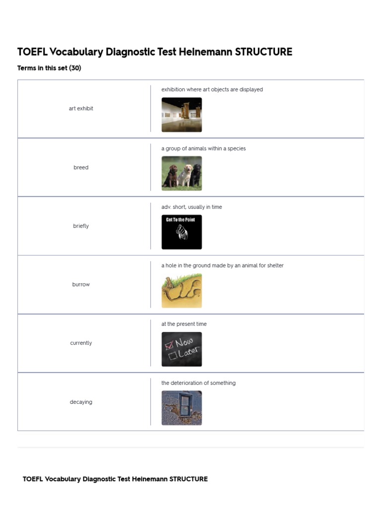 TOEFL Vocabulary Diagnostic Test Guide | PDF