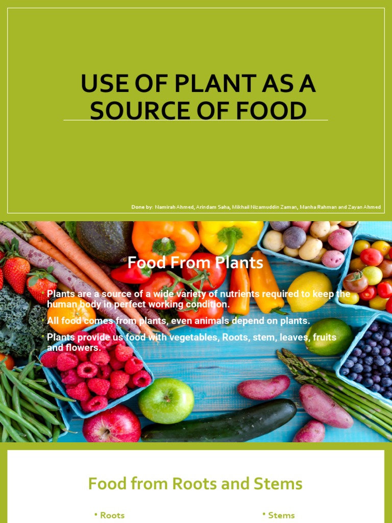 Use of Plant As A Source of Food | PDF