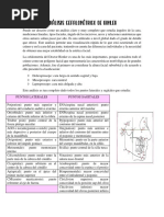 Análisis del Submental Vertex en Cráneo | PDF | Cráneo | Anatomía de ...