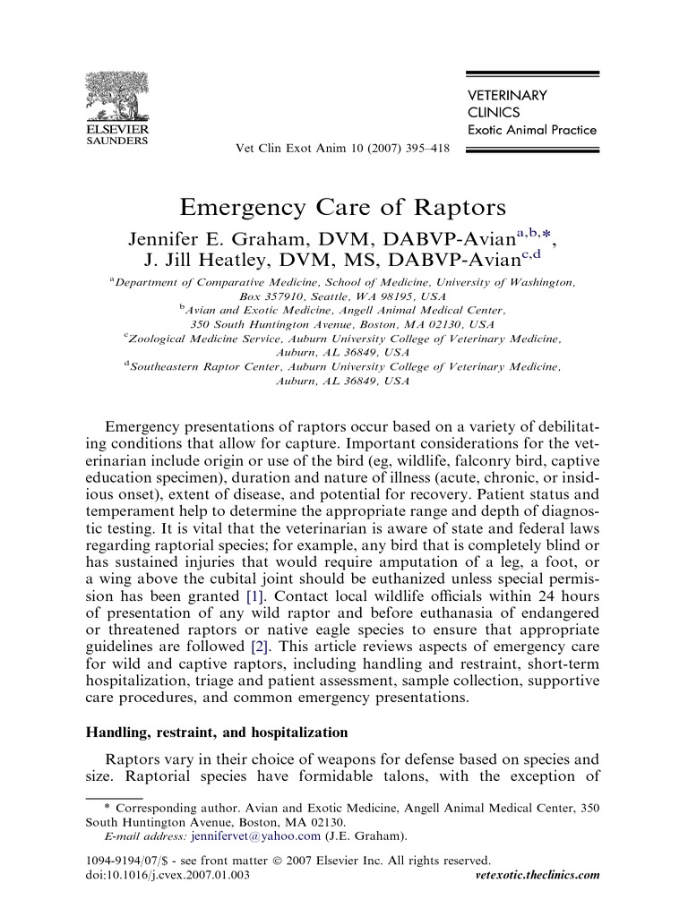 Emergency Raptors | PDF | Blood Pressure | Shock (Circulatory)