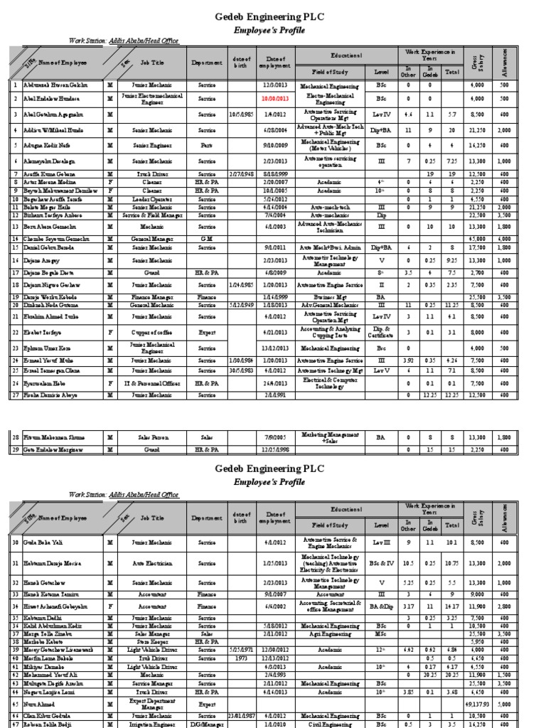 Gedeb Engineering PLC Employee Profile Document | PDF | Auto Mechanic ...