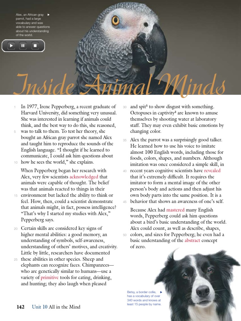 Inside Animal Minds: Acknowledged Revealed | PDF | Human ...