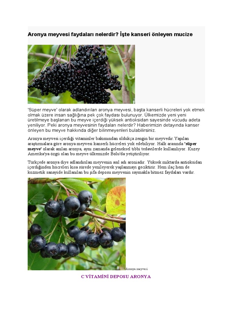 Aronya Meyvesi Faydaları Nelerdir | PDF