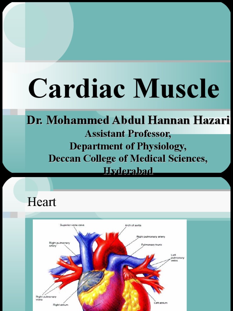 Cardiac Muscle: Dr. Mohammed Abdul Hannan Hazari | PDF | Heart | Atrium (Heart)