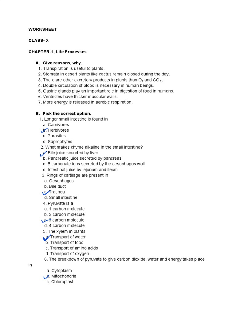 Worksheet Class-X CHAPTER-1, Life Processes A. Give Reasons, Why | PDF ...