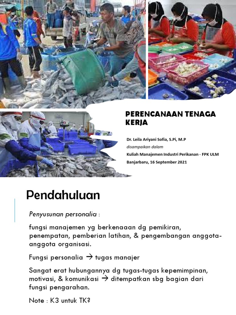 Perencanaan Tenaga Kerja | PDF
