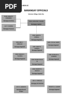 BADAC TEMPLATE - Council Organizational Structure | PDF