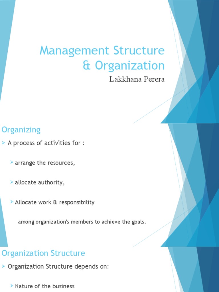 Management Structure & Organization | PDF | Organizational Structure ...