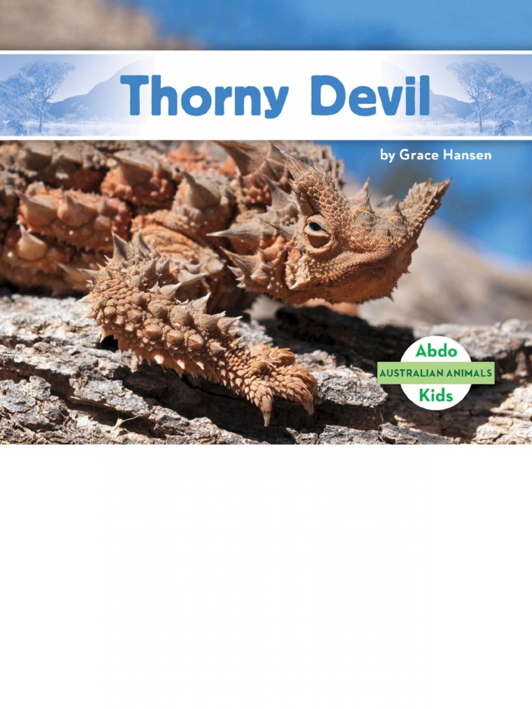 Thorny Devil | PDF | Zoology