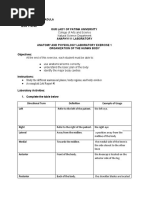 Detailed Lesson Plan in Science VI-Nervous System | PDF | Nerve | Axon