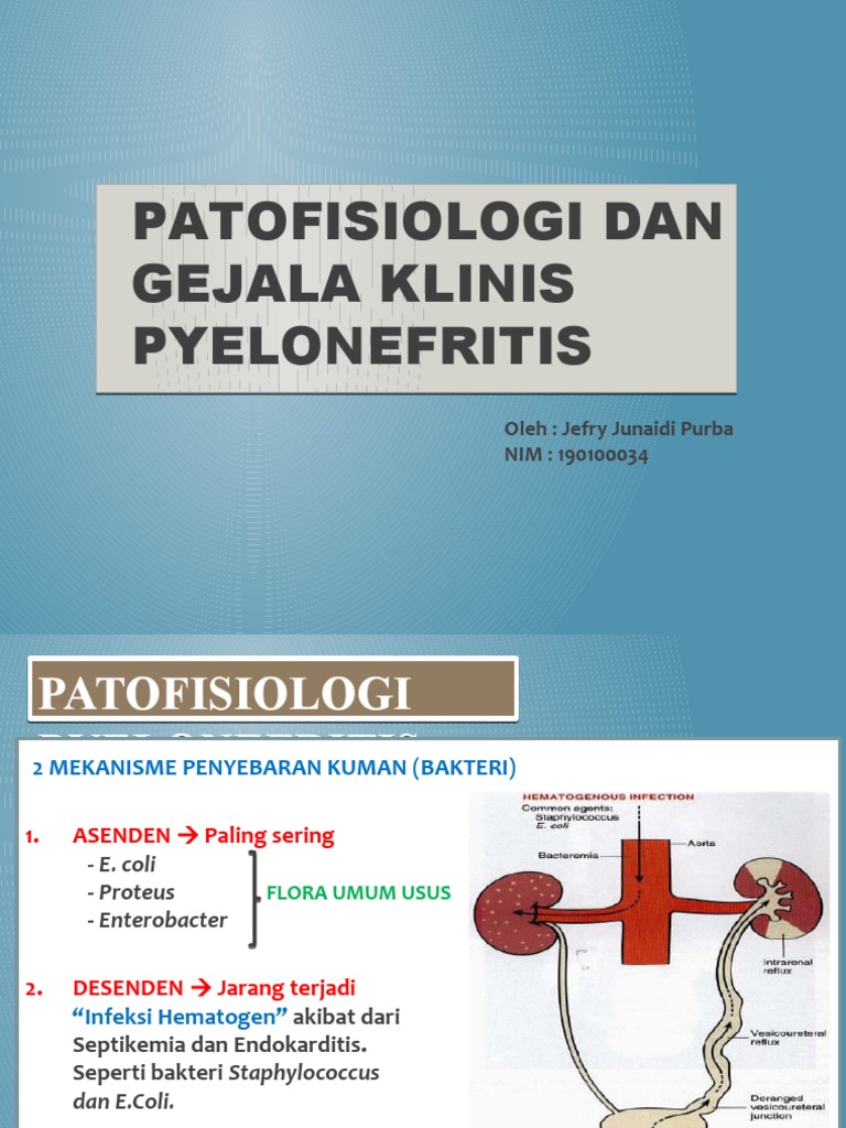 Pathophysiology and Clinical Manifestations of Pyelonephritis ...